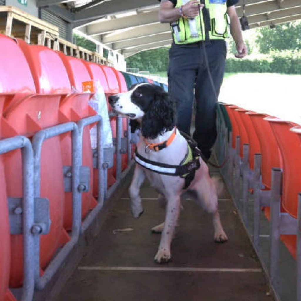 Event Detection Dogs - Providing Safety, Assurance and Security in an ...