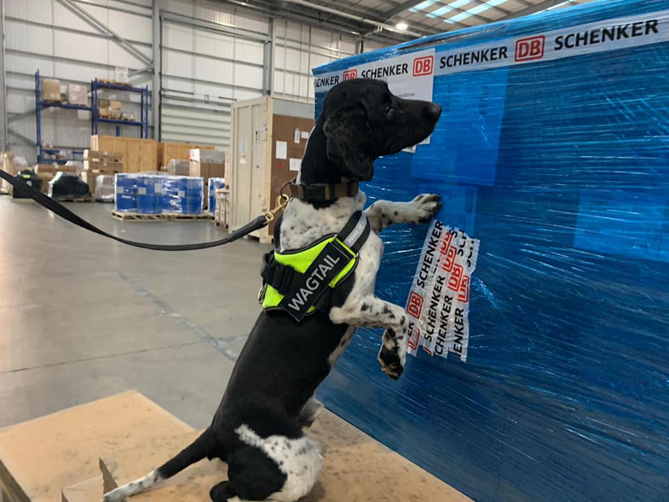 Wagtail - Supporting the Covid-19 Aid Effort to India - Wagtail UK